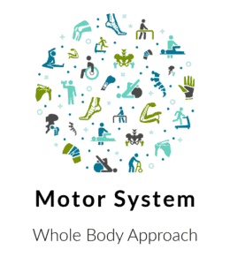 Movement Disorders Clinic for Rehabilitation